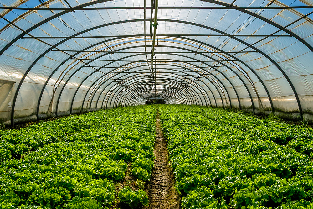 X7224-KB Touch Monitor with built-in keyboard - STX Technology - USA